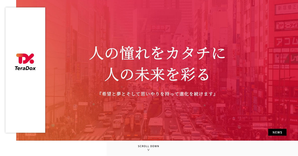 会社概要 | 株式会社TeraDox(TeraDox,Inc.)